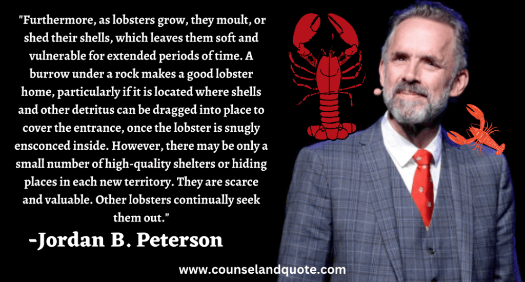25 Best Jordan Peterson Lobster Quotes