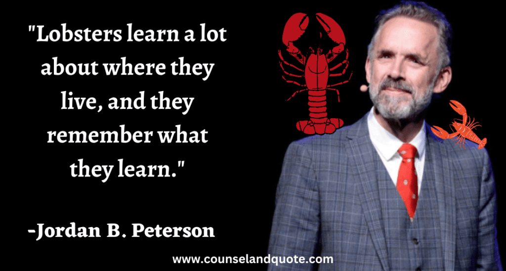 25 Best Jordan Peterson Lobster Quotes